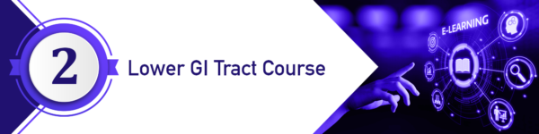 Lower GI Tract – PCSG