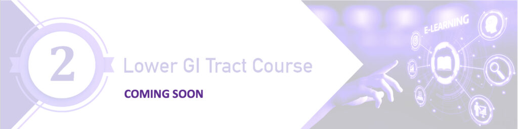 GPwER Portal – PCSG