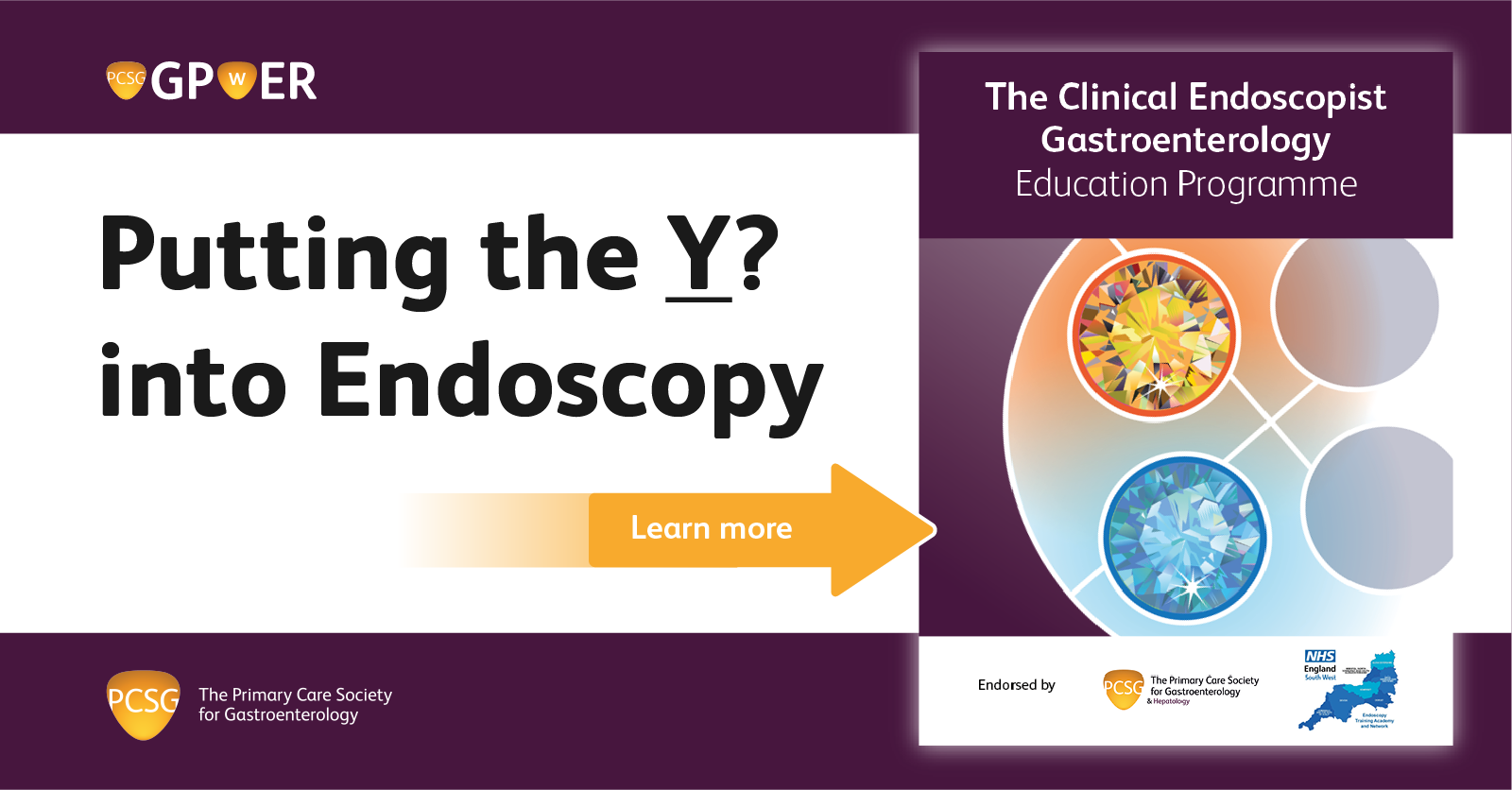 Clinical Endoscopist Course – PCSG